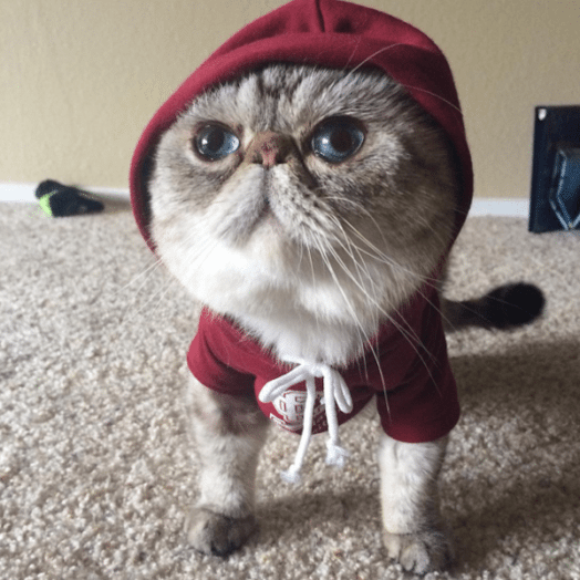 It May Be Spring, But It’s Still Bloody Cold Outside - ACED Magazine ...